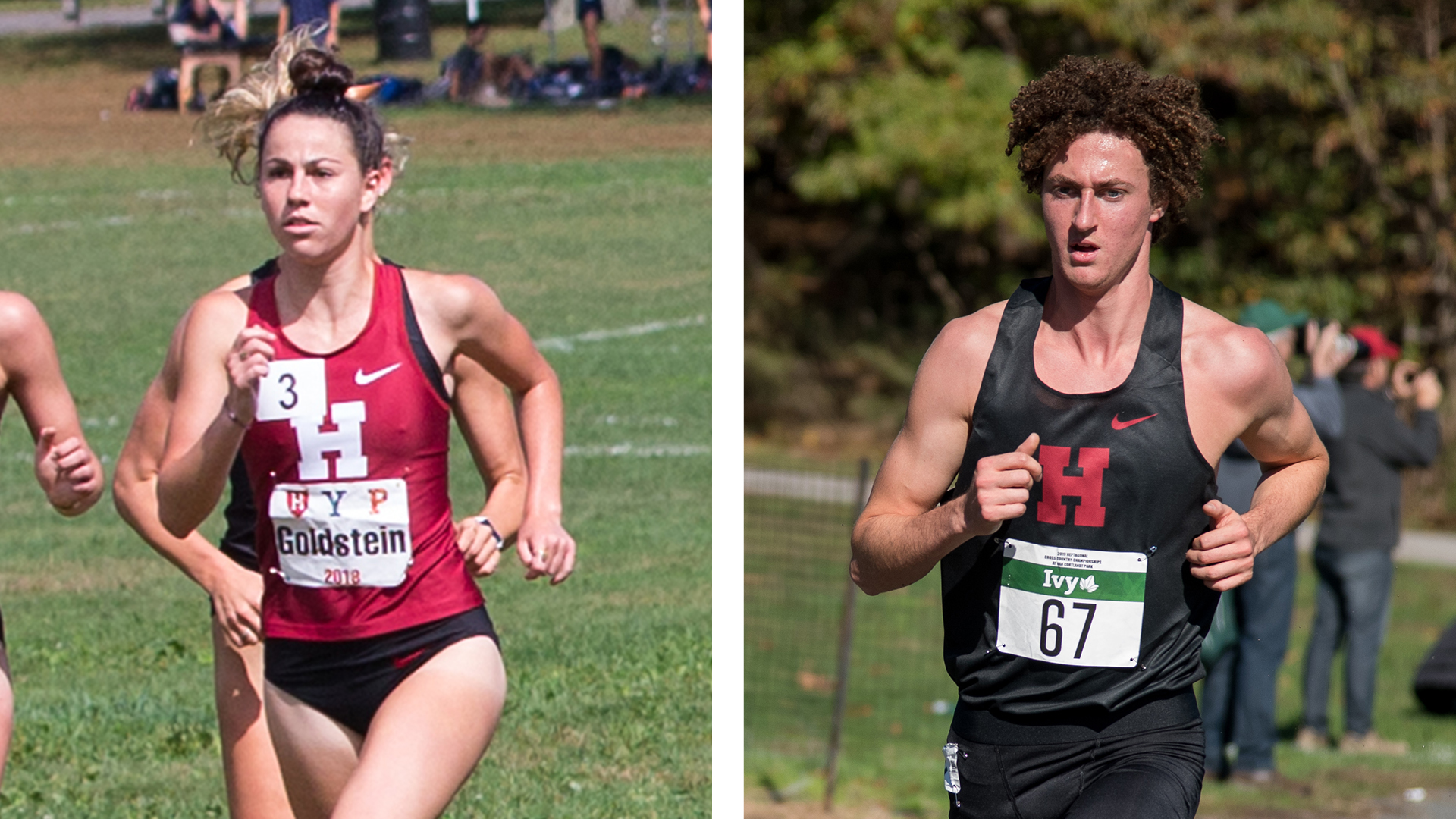 Cross Country Men and Women Ranked in USTFCCCA Poll - Harvard University