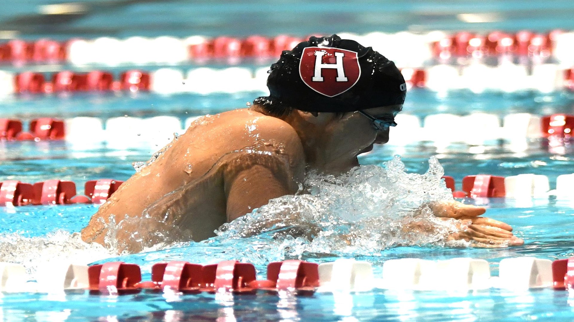 Written Senior Perspective - Daniel Chang, Men's Swim and Dive ...