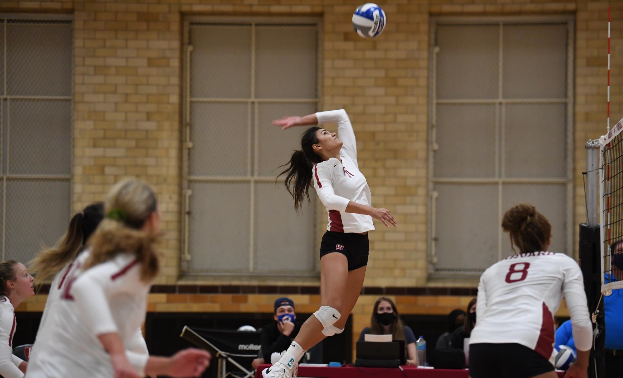 Jaimie Rao - 2022 - Women's Volleyball - Harvard University