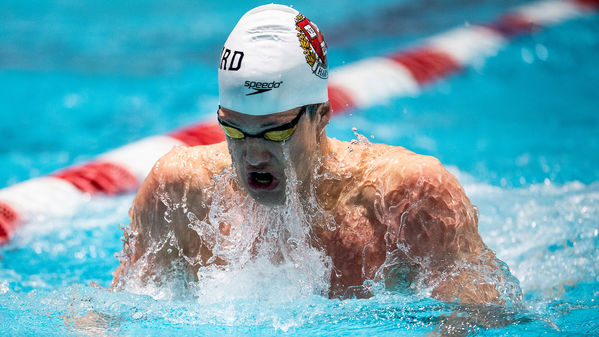 David Abrahams - 2023-24 - Men's Swimming and Diving - Harvard University