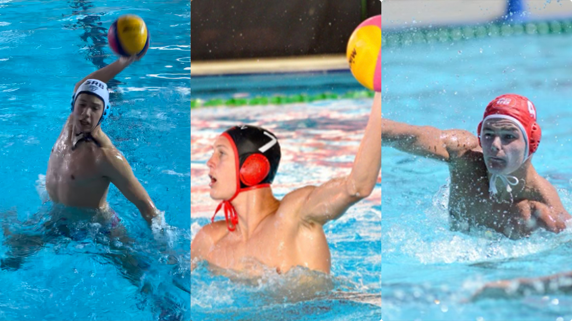 Men’s Water Polo Releases Incoming Class - Harvard University