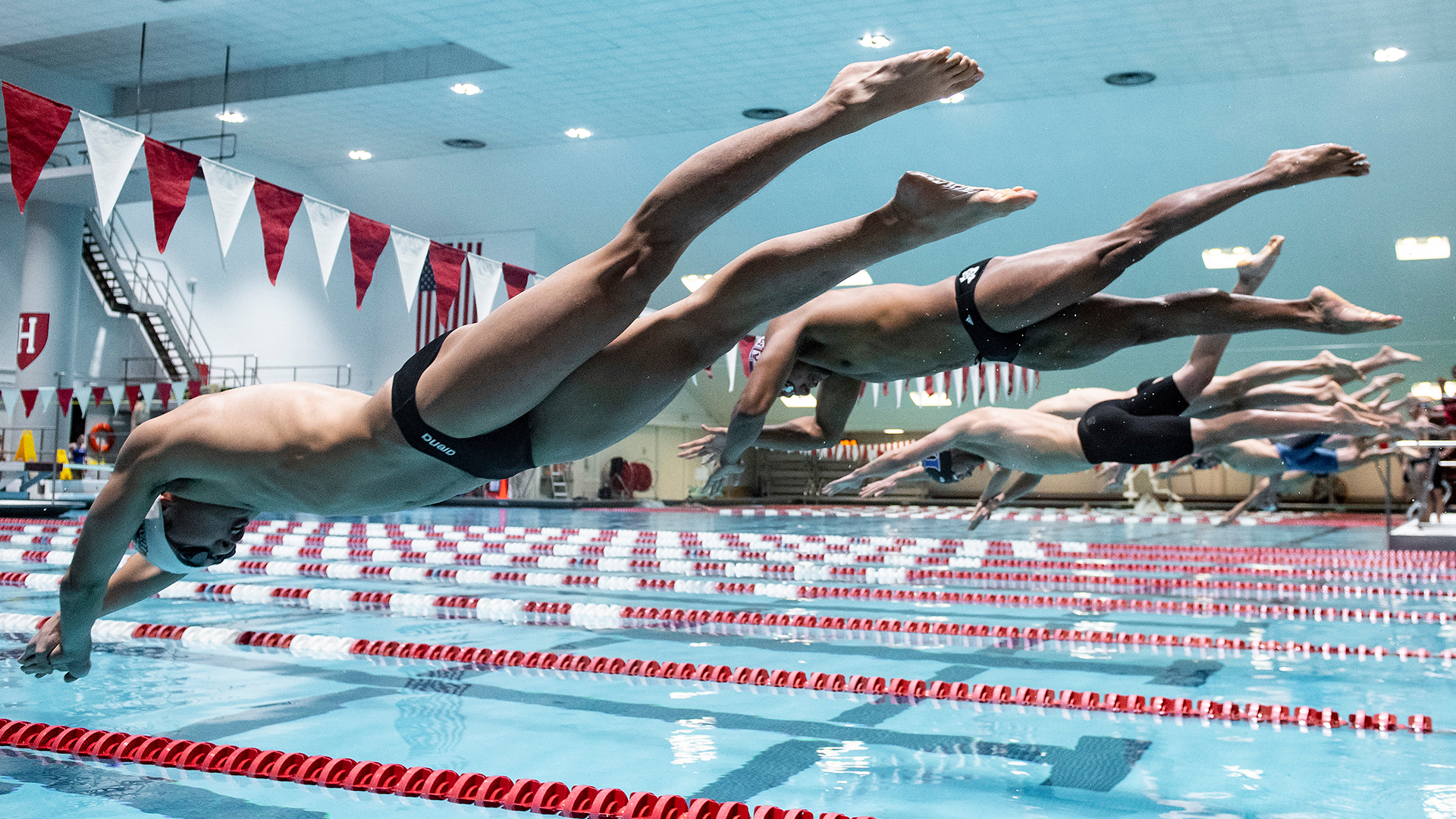 Men’s Swimming and Diving Set to Send 17 to Olympic Qualifying Events ...