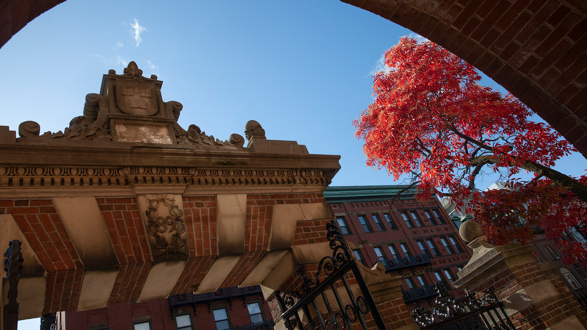 22 Student-Athletes Honored as Spring and At-Large Academic All-Ivy ...