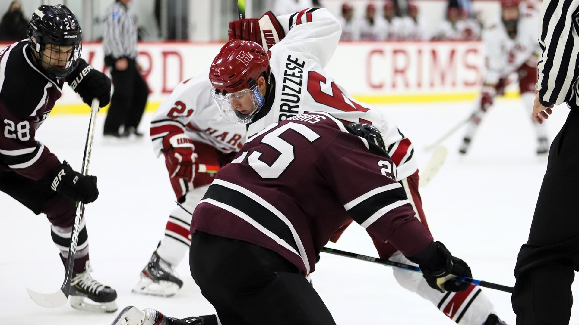 No. 19 Men's Ice Hockey Earns 4-1 Win Over Union - Harvard University