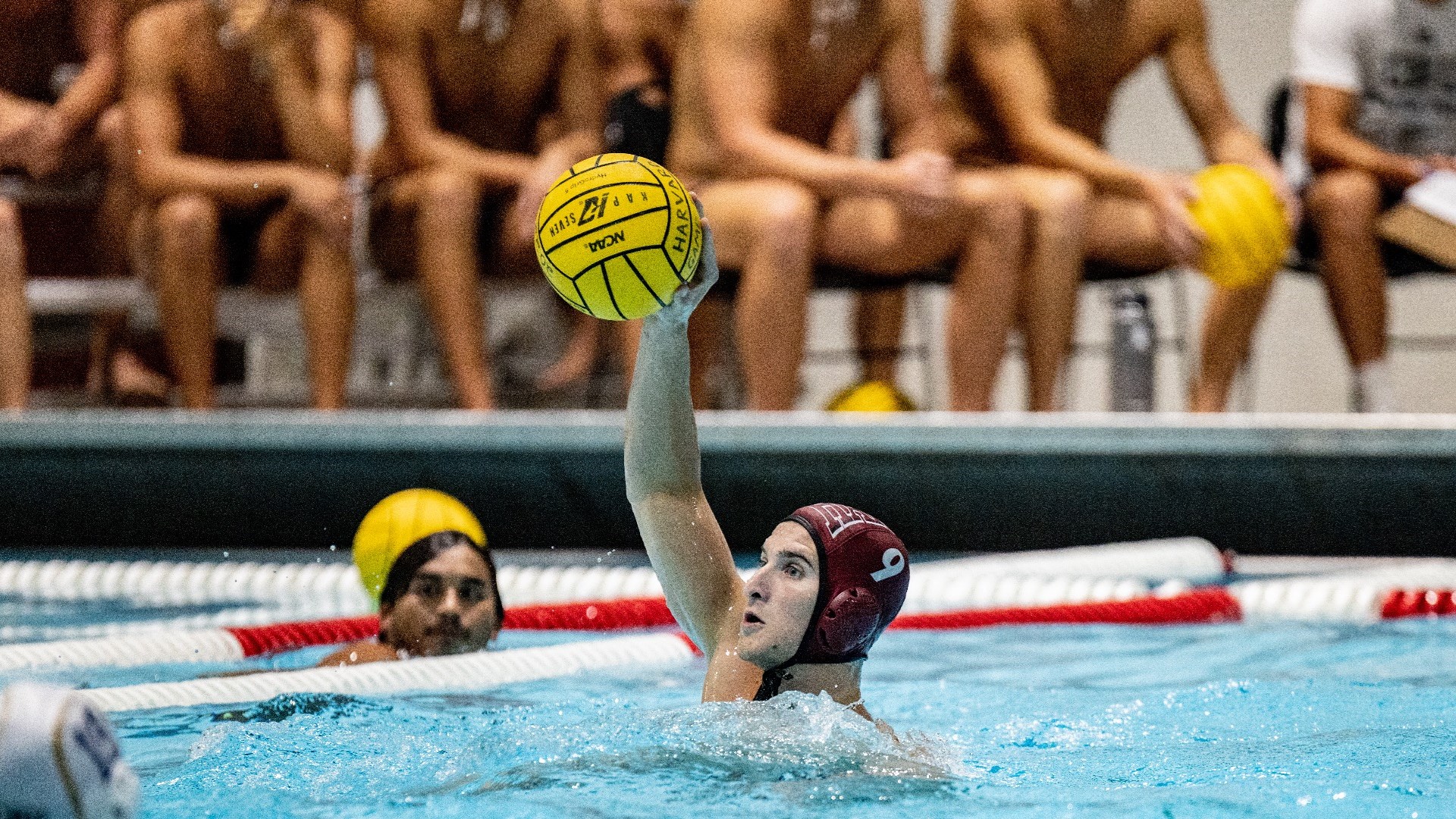 Michael Sonsini - 2022 - Men's Water Polo - Harvard University