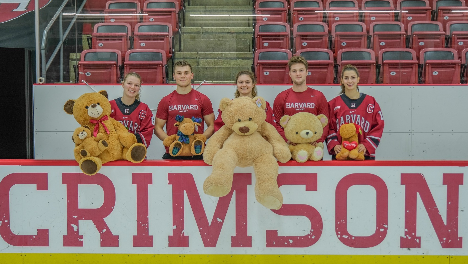 Men’s and Women’s Hockey Team Up for Teddy Bear Toss Initiative ...