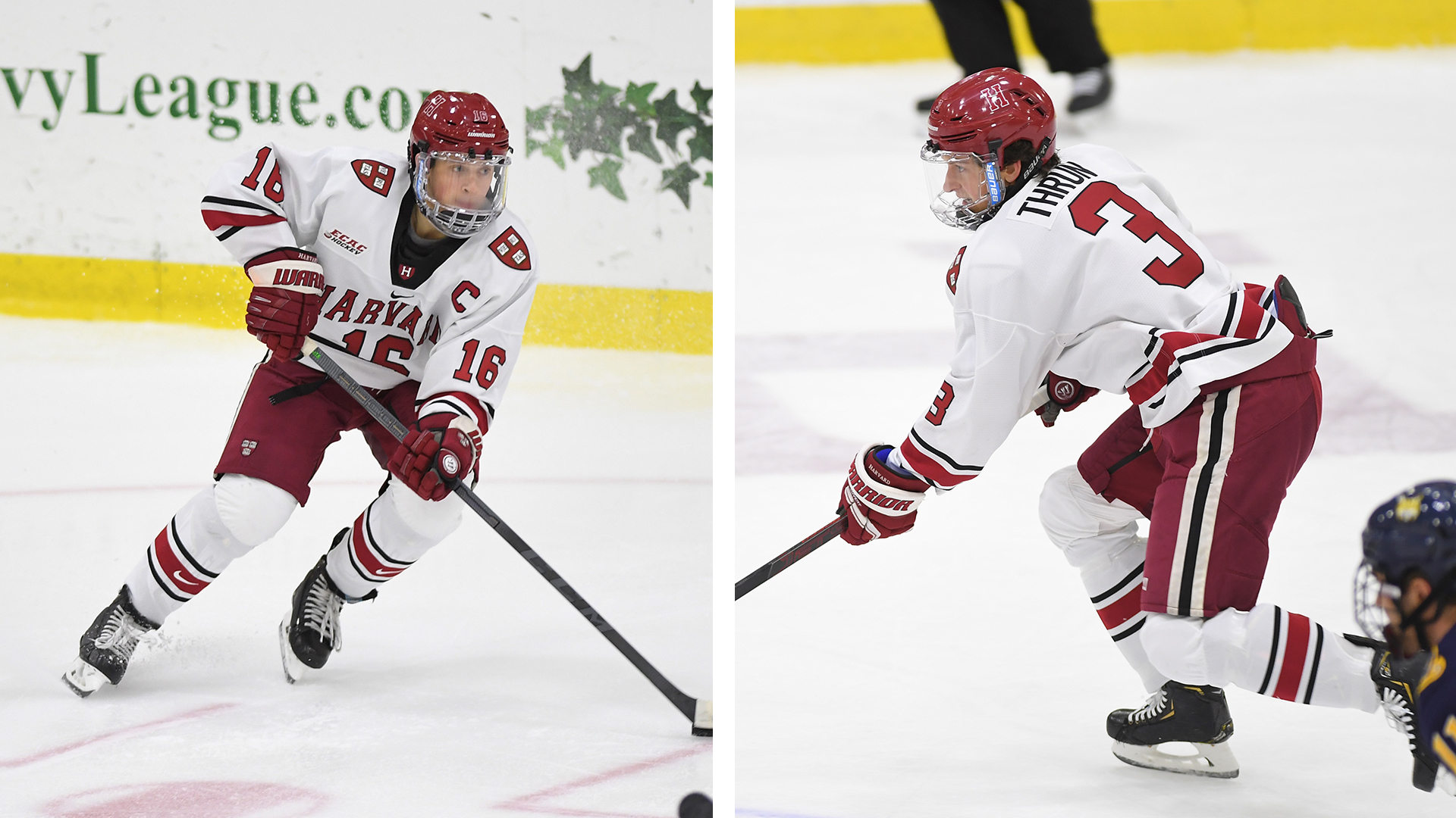 Abruzzese, Thrun Named AHCA All-Americans - Harvard University