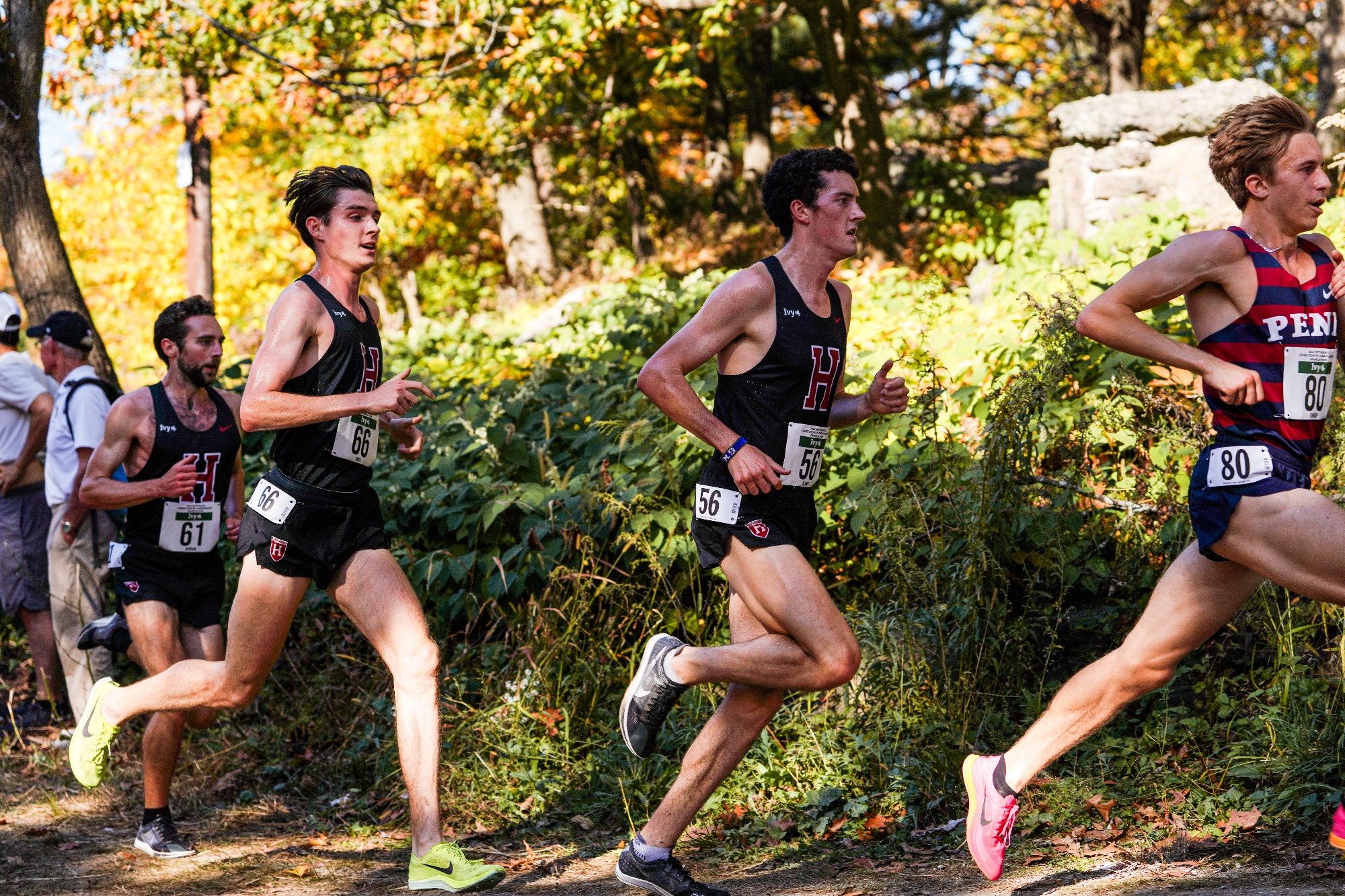 Men's Cross Country Punches Ticket to NCAA's for Fifth Straight Year ...