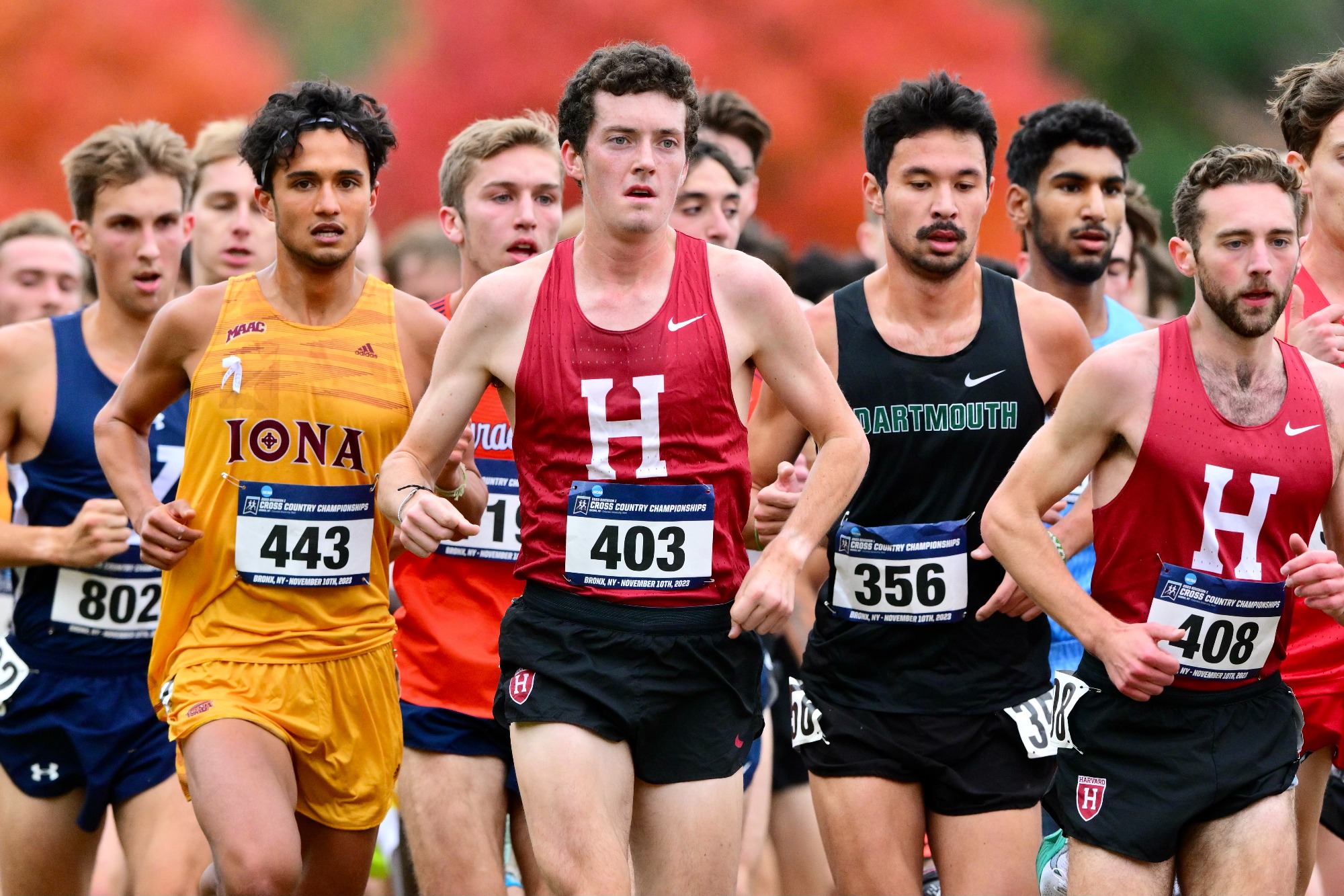 Three Members of Crimson Cross Country Program Earn USTFCCCA Northeast ...