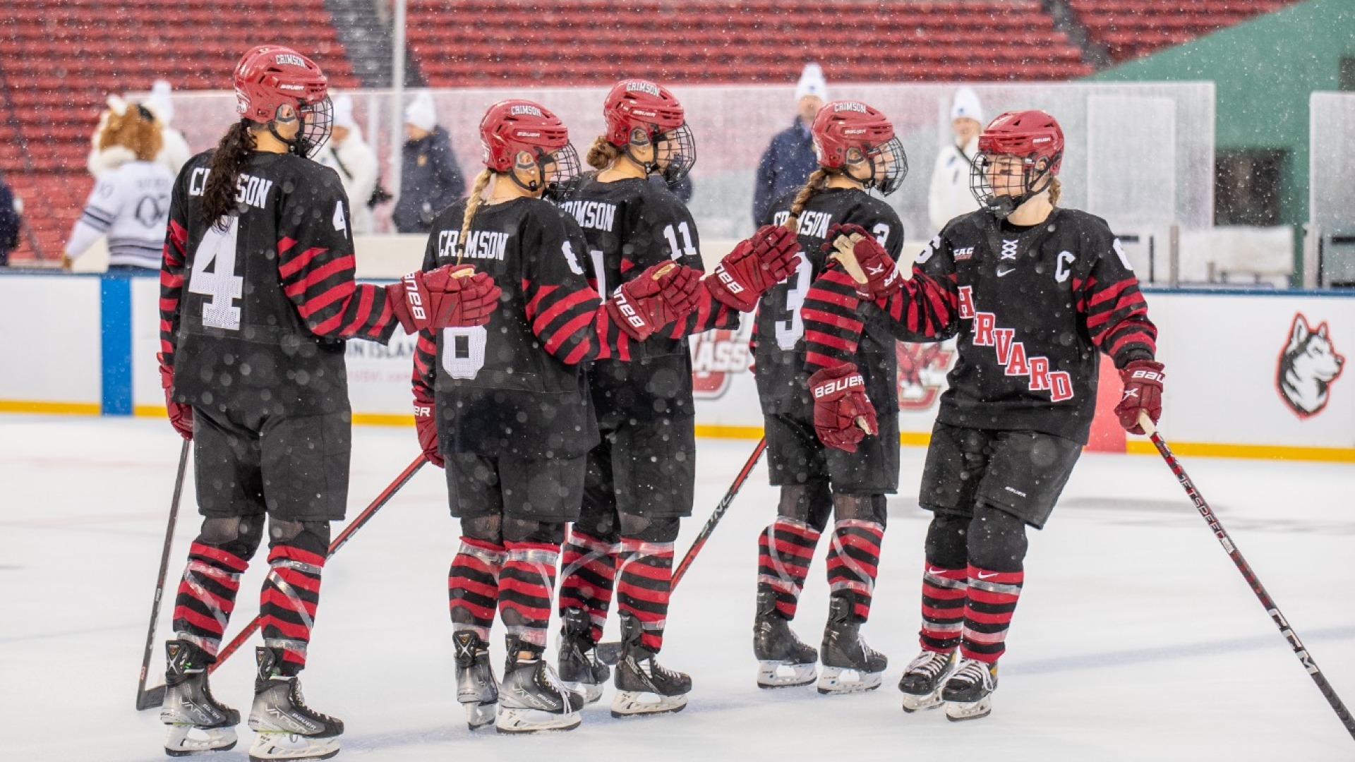 Anne Bloomer - 2022-23 - Women's Ice Hockey - Harvard University
