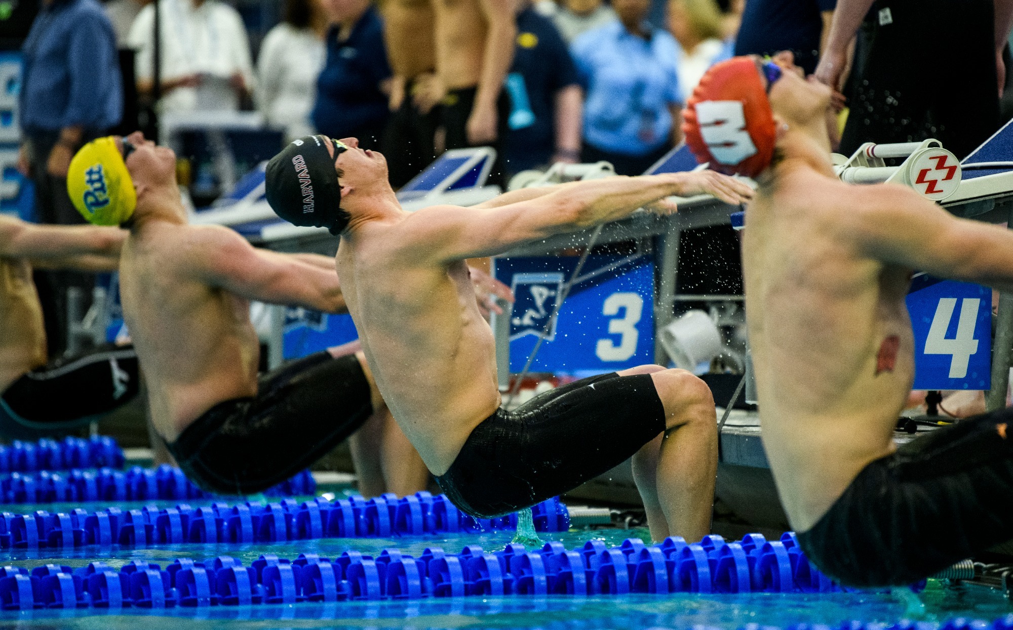 Will Grant - 2022-23 - Men's Swimming and Diving - Harvard University