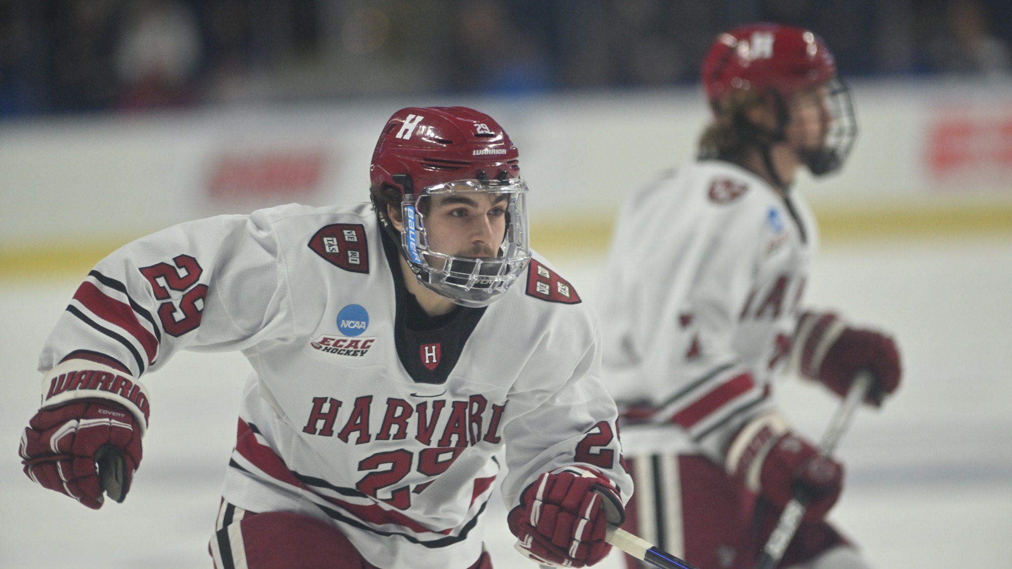 Men's Ice Hockey 2023-24 Season Tickets On Sale Now - Harvard University