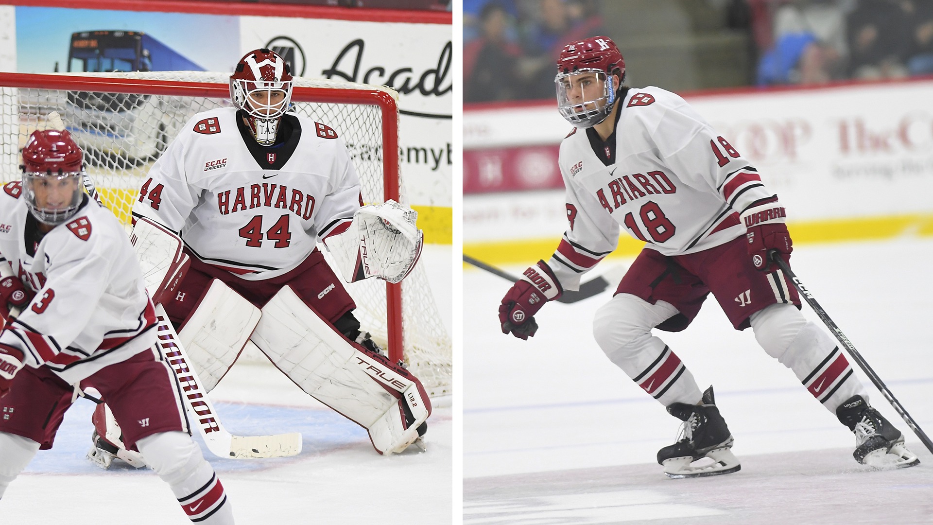 Mitchell Gibson and Alex Laferriere Sign NHL Entry Level Deals With ...
