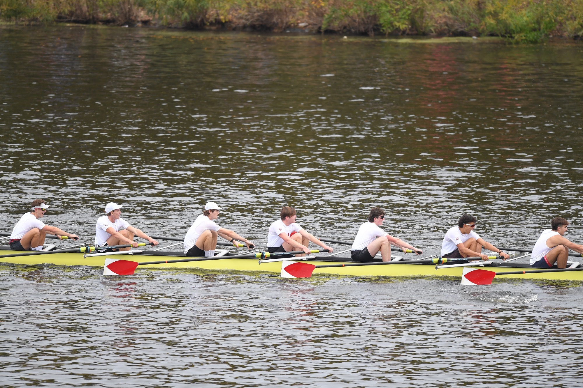 Men's Lightweight Rowing Has Solid Performance In Philadelphia ...