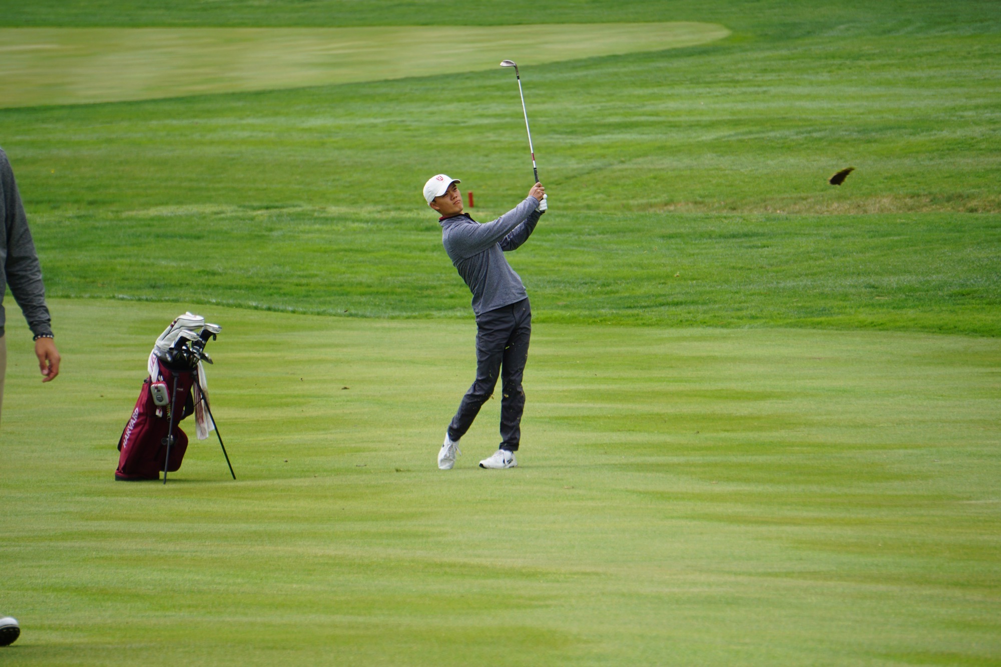 Brian Ma to Compete in NCAA Regionals in Auburn, Alabama - Harvard ...