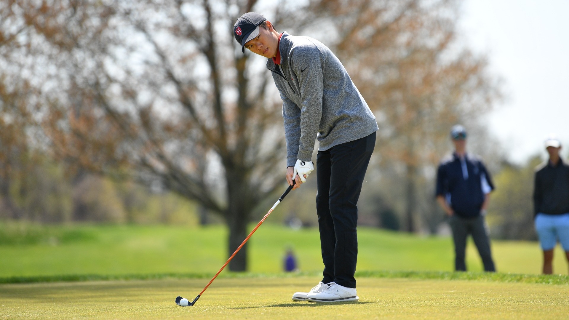 Ma Finishes 39th at NCAA Men's Golf Auburn Regional - Harvard University