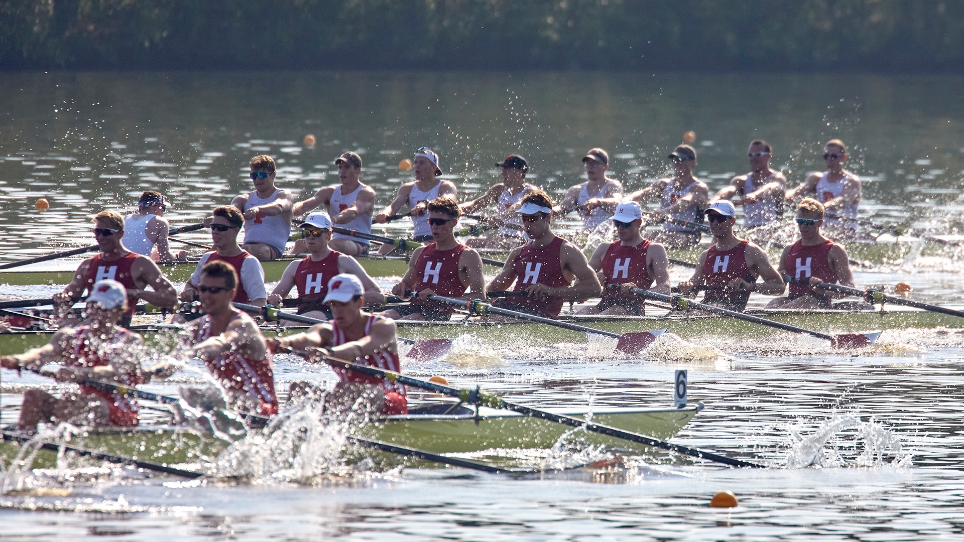 Thomas Horncastle - 2023-24 - Men's Heavyweight Rowing - Harvard University