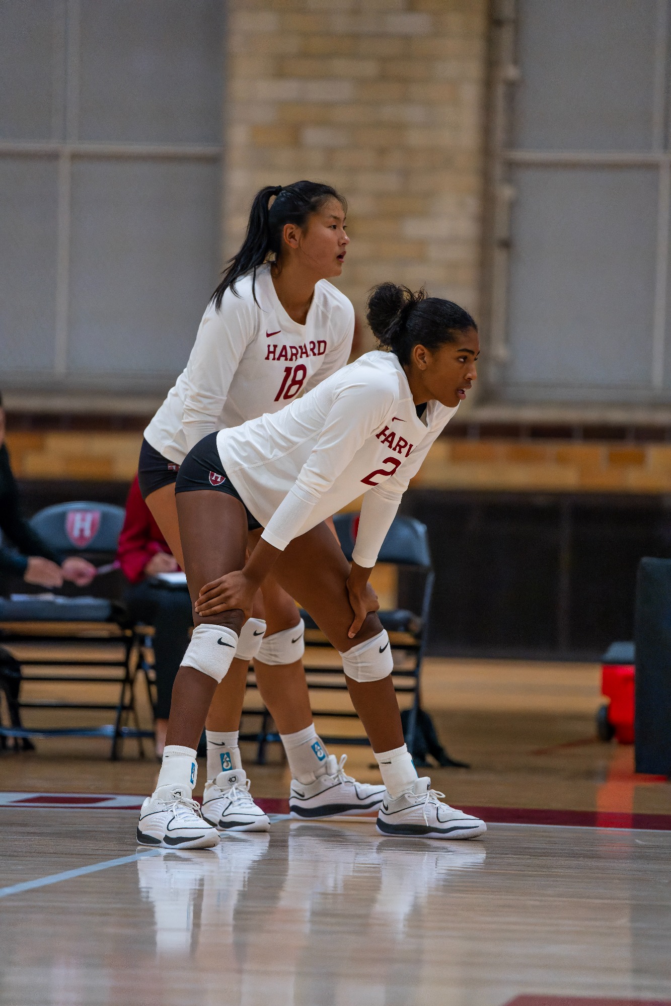 Patterson and Wang Receive Ivy League Honors After Weekend Performance - Harvard University