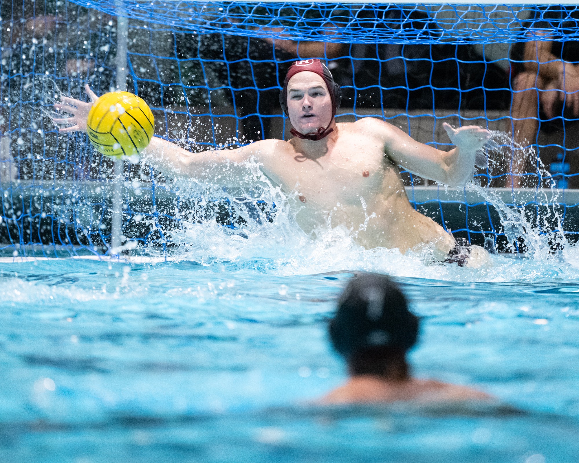 No. 18 Men's Water Polo Falls to Fordham in Weekend Finale - Harvard ...