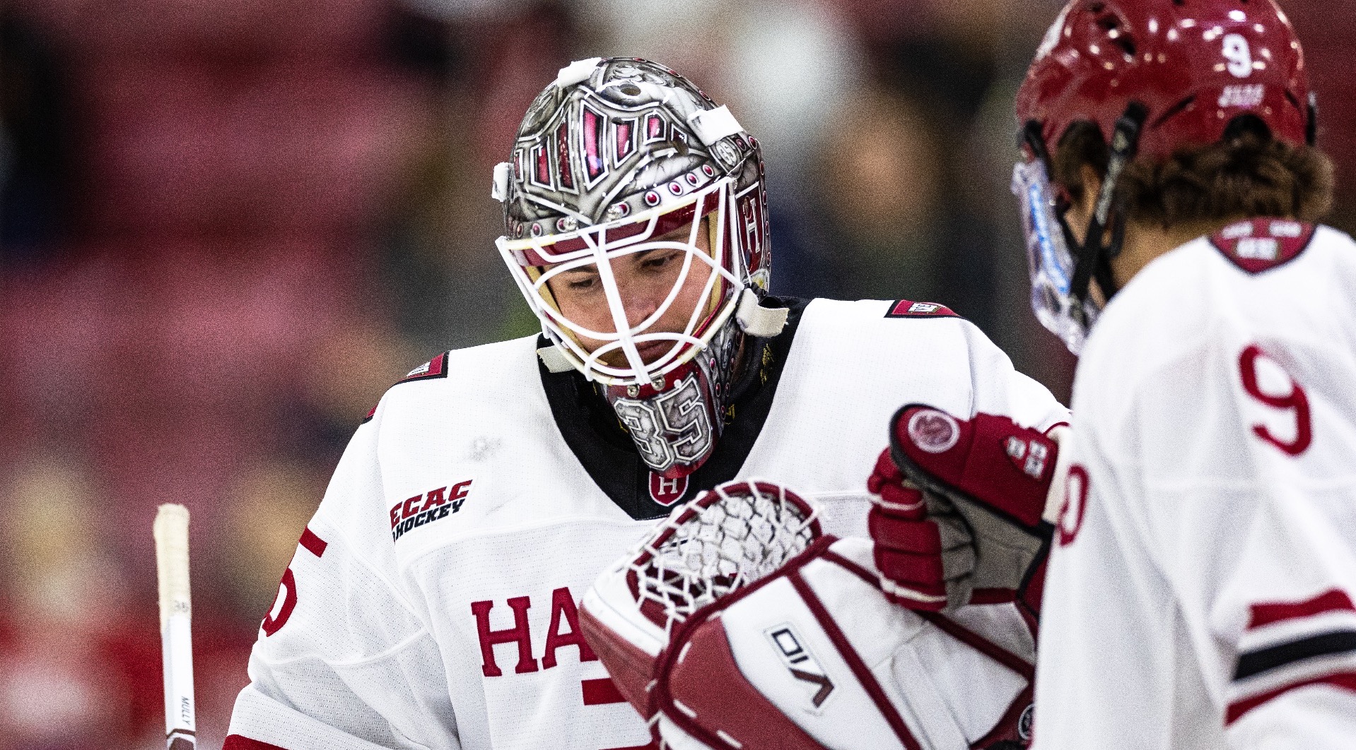 Men's Hockey Drops Contest to No. 13 Cornell - Harvard University
