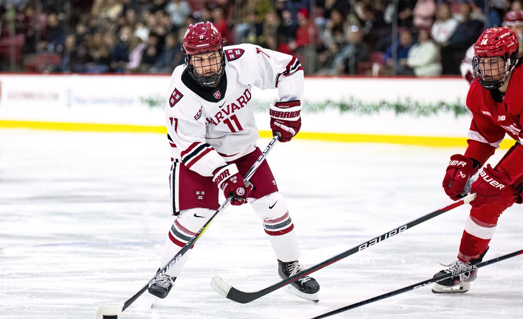 Ryan O'callaghan Hockey