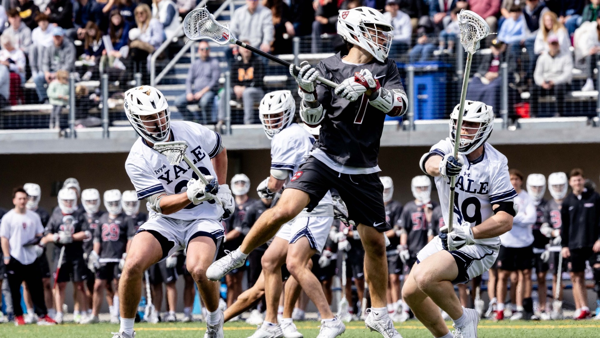 No. 12 Men’s Lacrosse Suffers First Setback of Season to No. 10 Yale ...