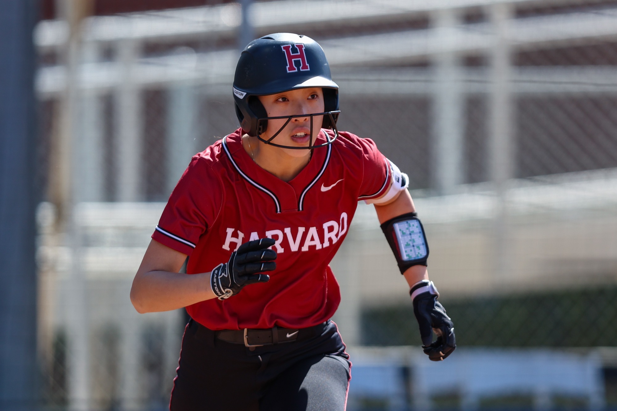 Ivy League Names Sun Rookie of the Week - Harvard University