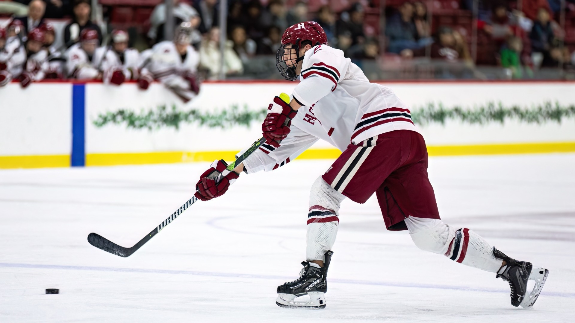 Men's Ice Hockey To Host Princeton in ECAC Playoffs - Harvard University