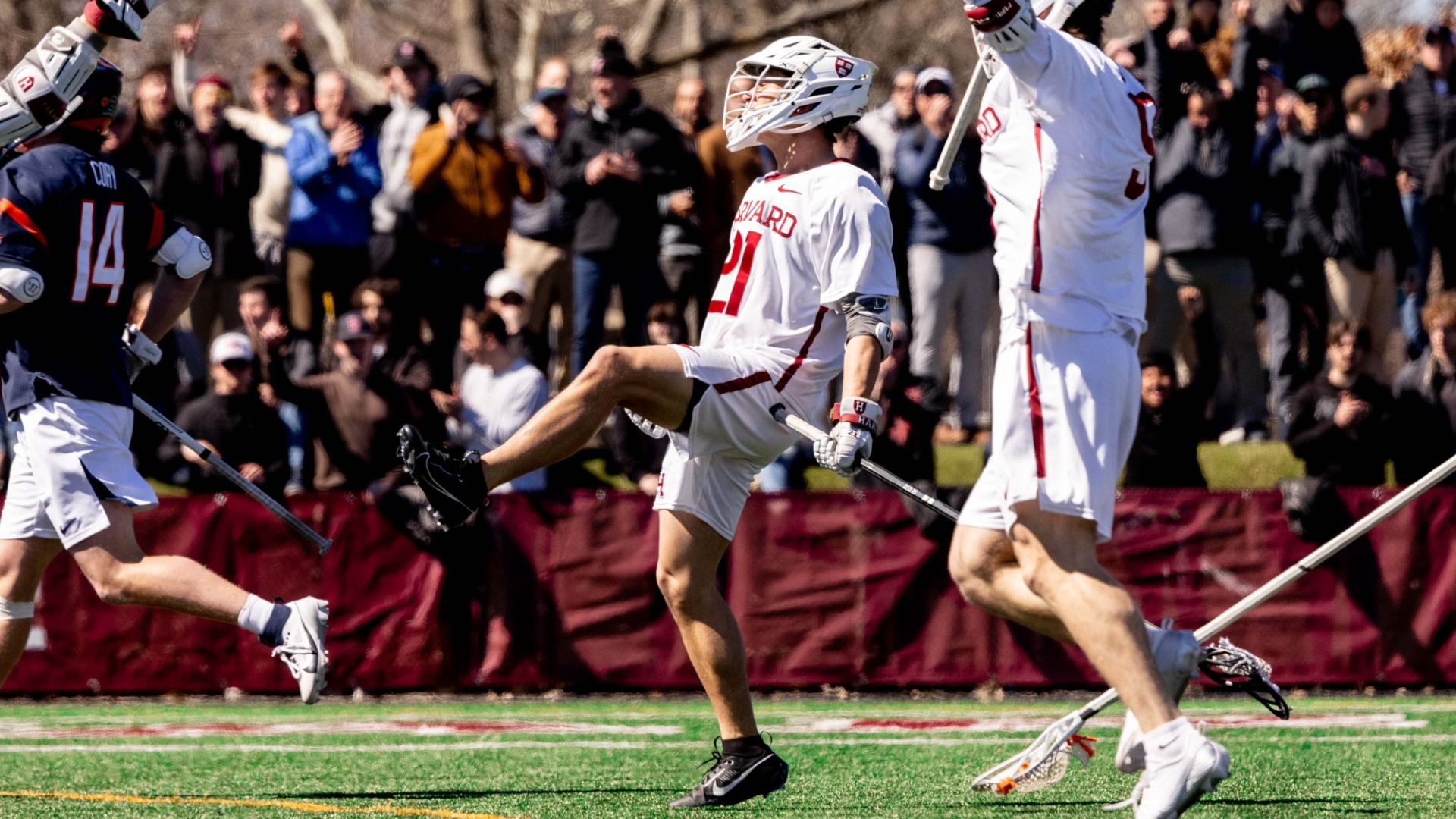 Greg Campisi - 2024 - Men's Lacrosse - Harvard University