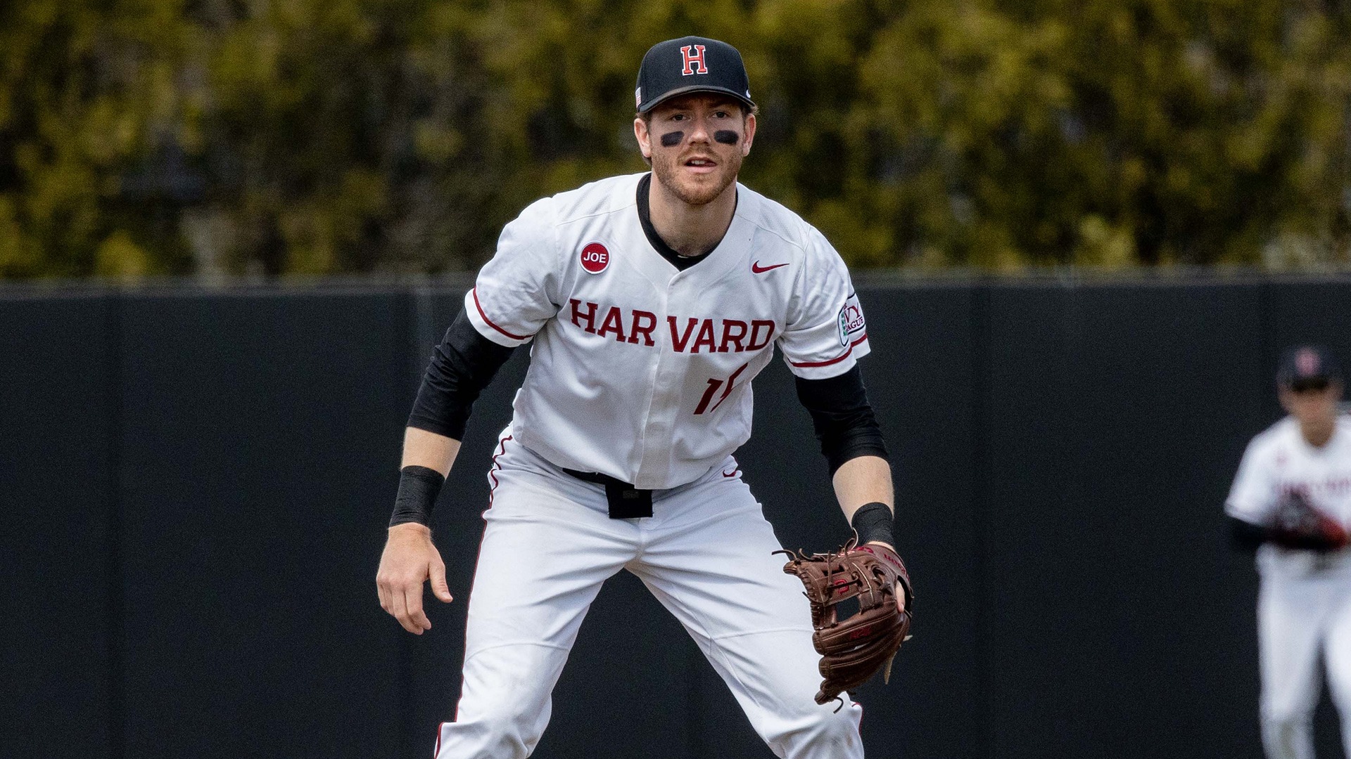 Baseball Beats Princeton in Series Finale, 14-2, Takes Series Win ...