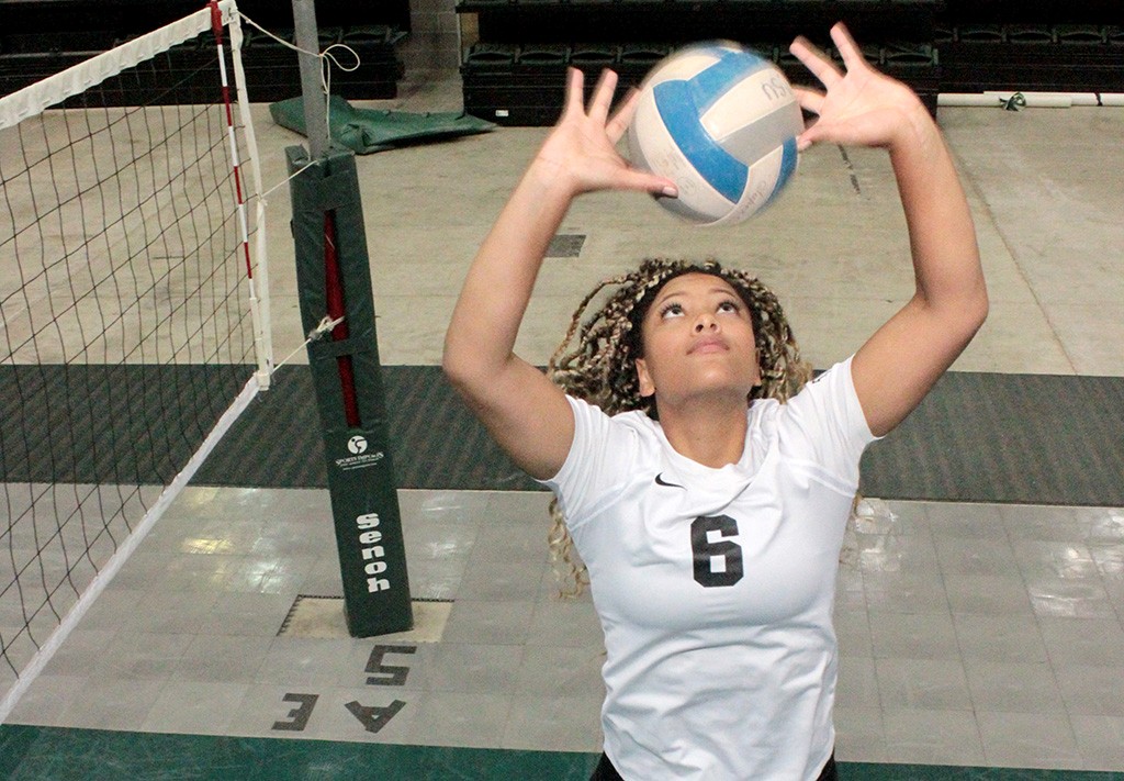 Corey Davis - 2016 - Volleyball - Chicago State University Athletics