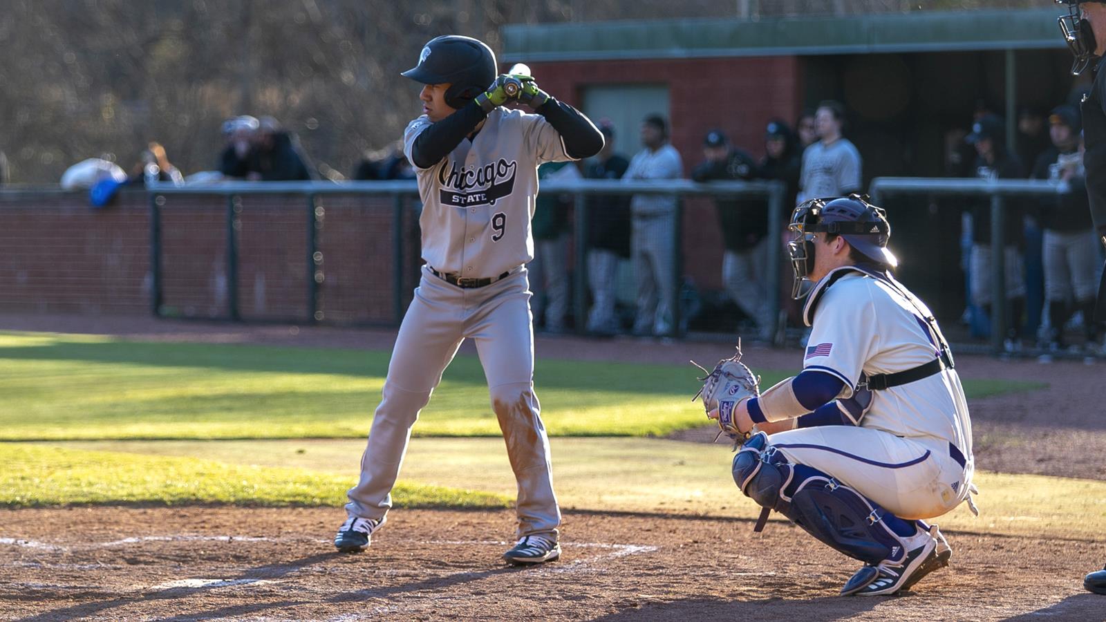 Andy Gaytan - 2020 - Baseball - Chicago State University Athletics