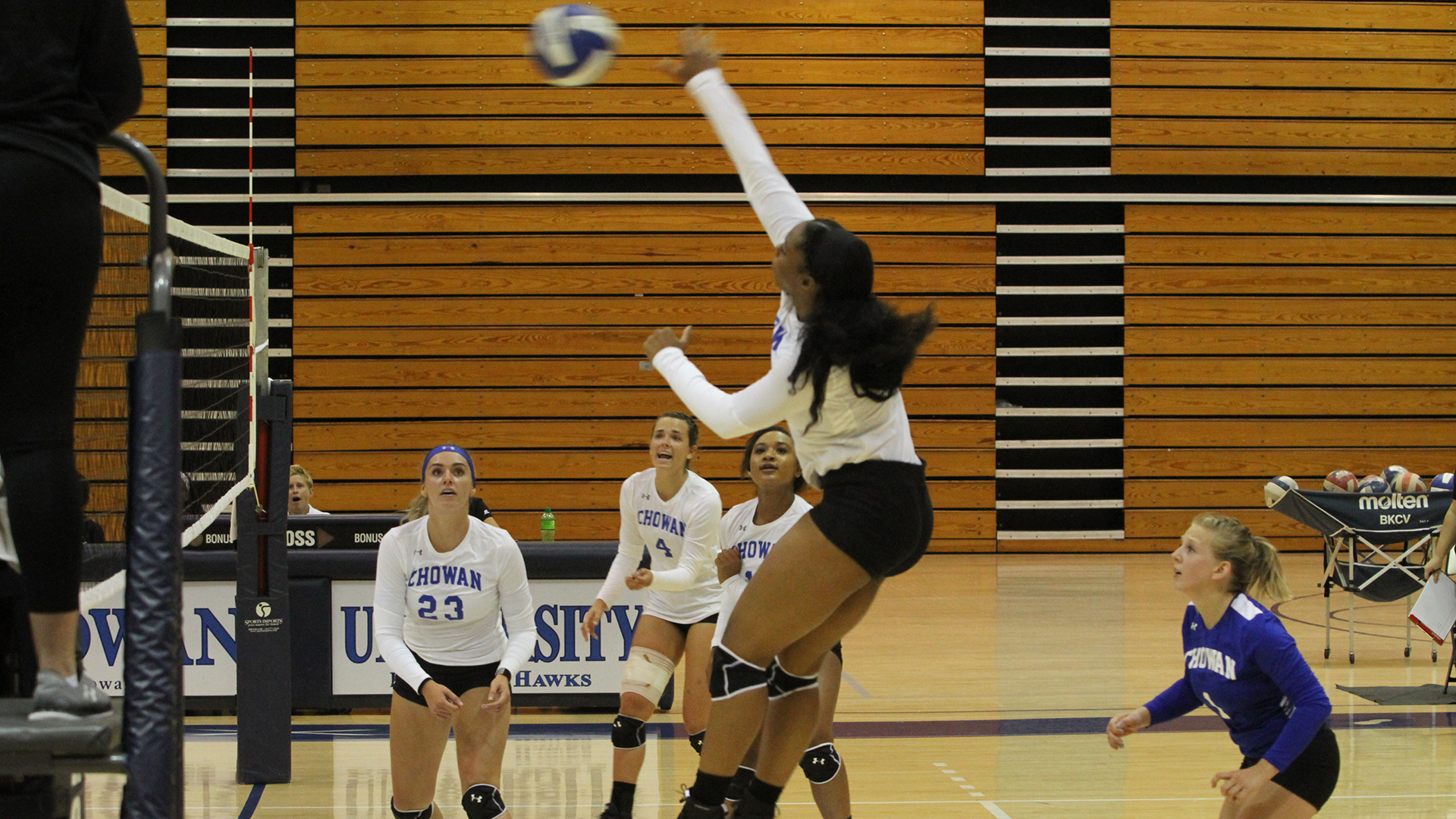 Kayla Gates - Volleyball - Chowan University Athletics