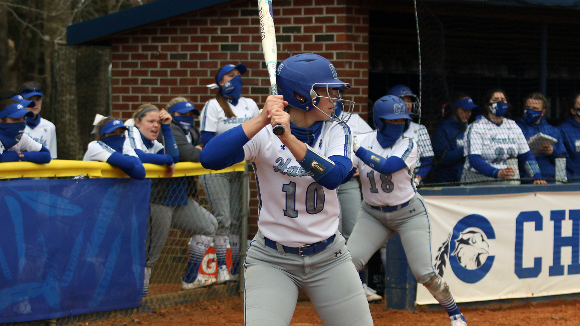 Hannah Naifeh - Softball - Chowan University Athletics