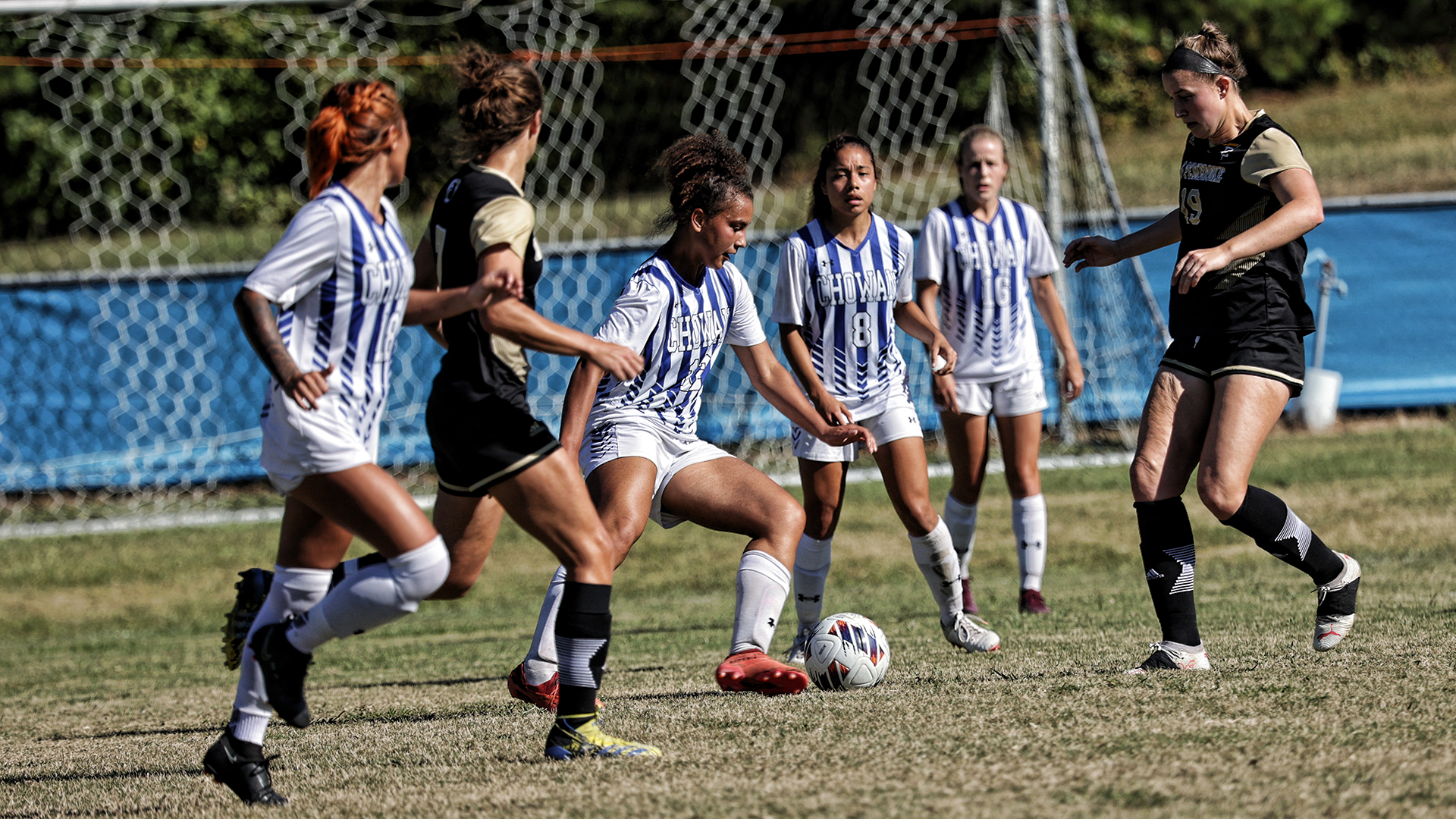 Chowan Shutout By Top Of The League Braves - Chowan University Athletics