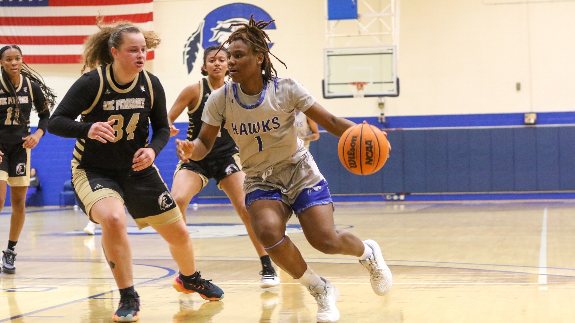 Hawks Start Slow In Loss To Braves In Finale - Chowan University Athletics
