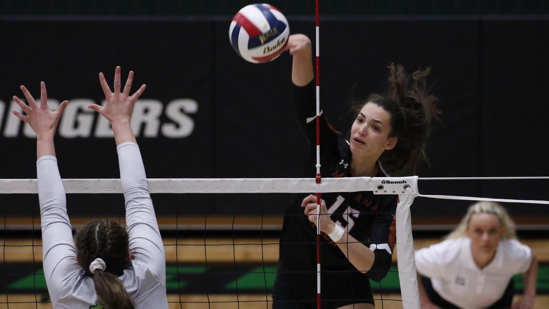 Masha Korol - Women's Volleyball - Montana Tech Athletics