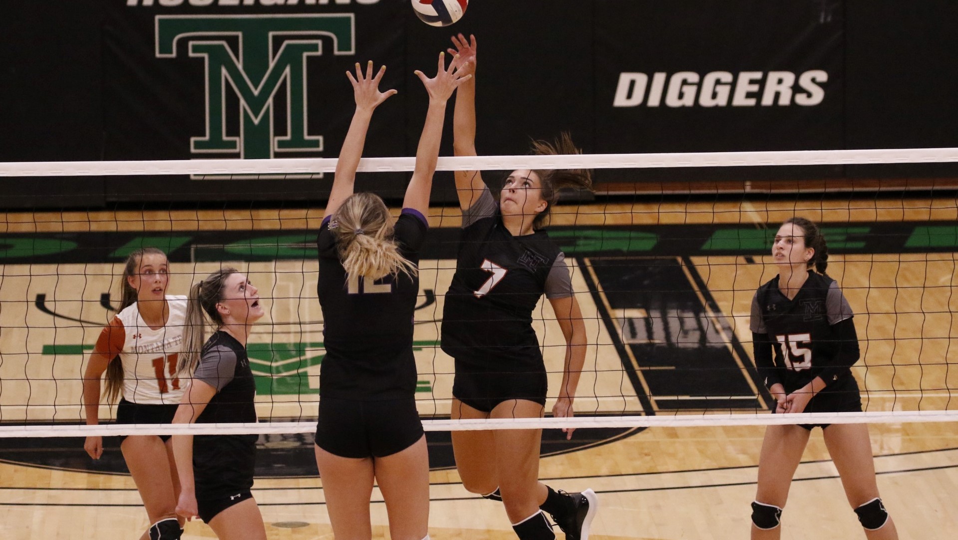 Taylor Henley - Women's Volleyball - Montana Tech Athletics