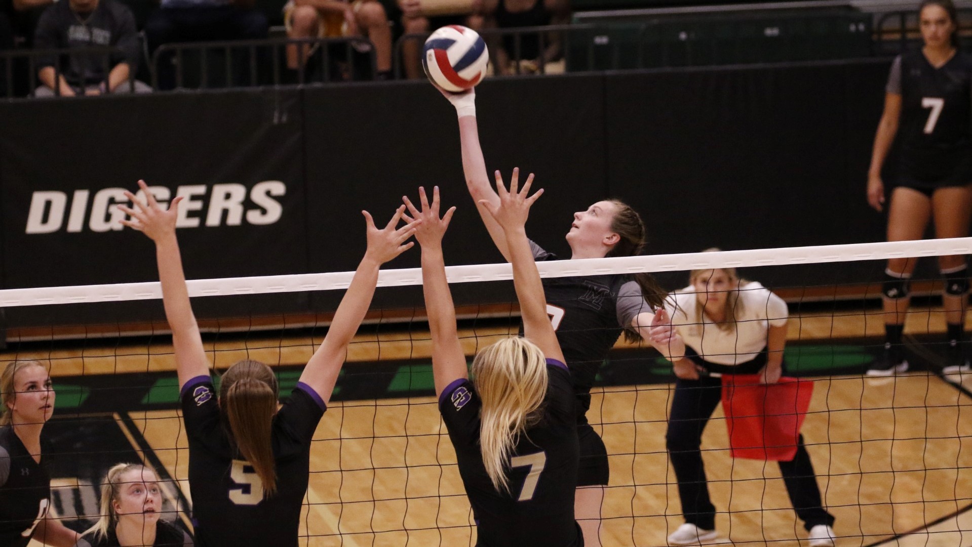 Maureen Jessop - Women's Volleyball - Montana Tech Athletics