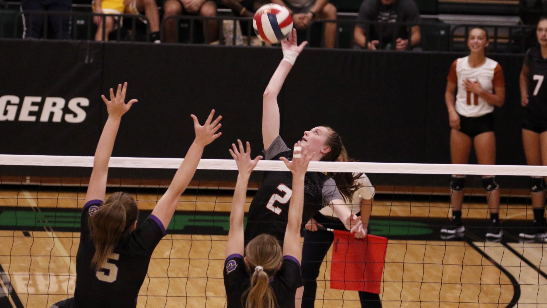 Maureen Jessop - Women's Volleyball - Montana Tech Athletics