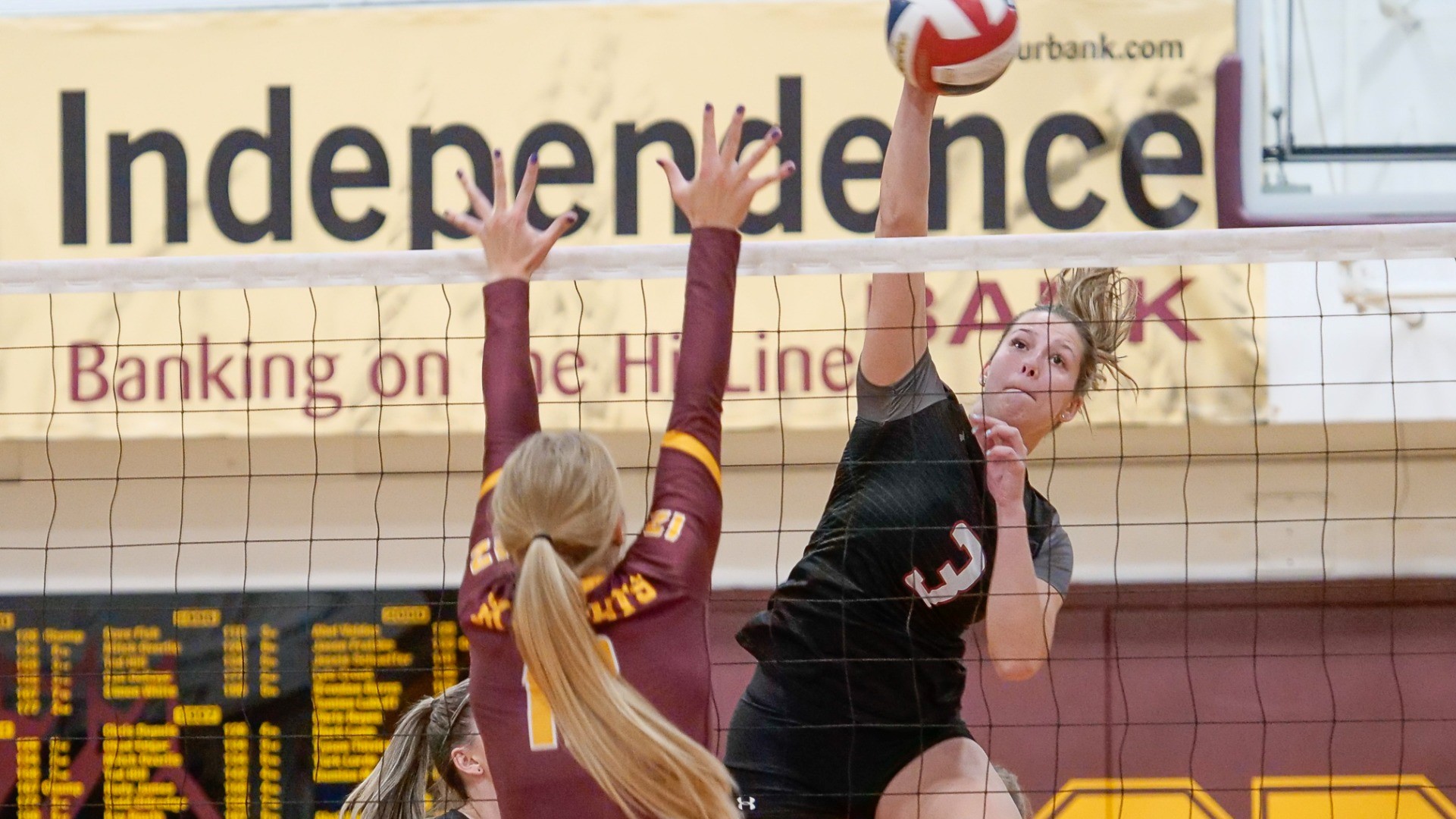 No. 19 Orediggers Finish Skylights in a Sweep - Montana Tech Athletics