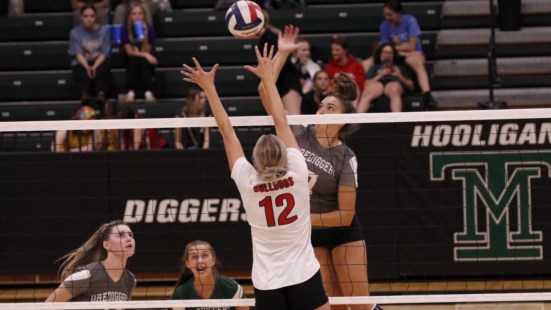 Taylor Henley - Women's Volleyball - Montana Tech Athletics