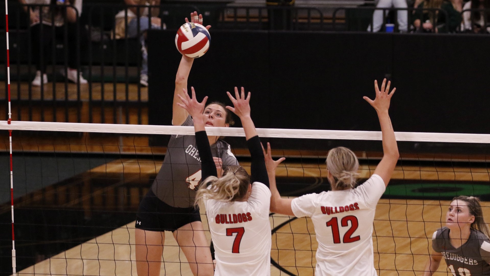 Olivia Muir - Women's Volleyball - Montana Tech Athletics