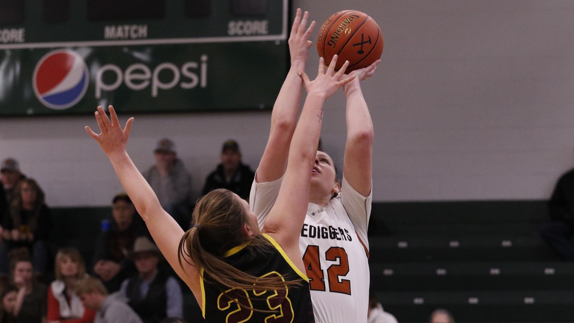 Brooke Heggie - Women's Basketball - Montana Tech Athletics