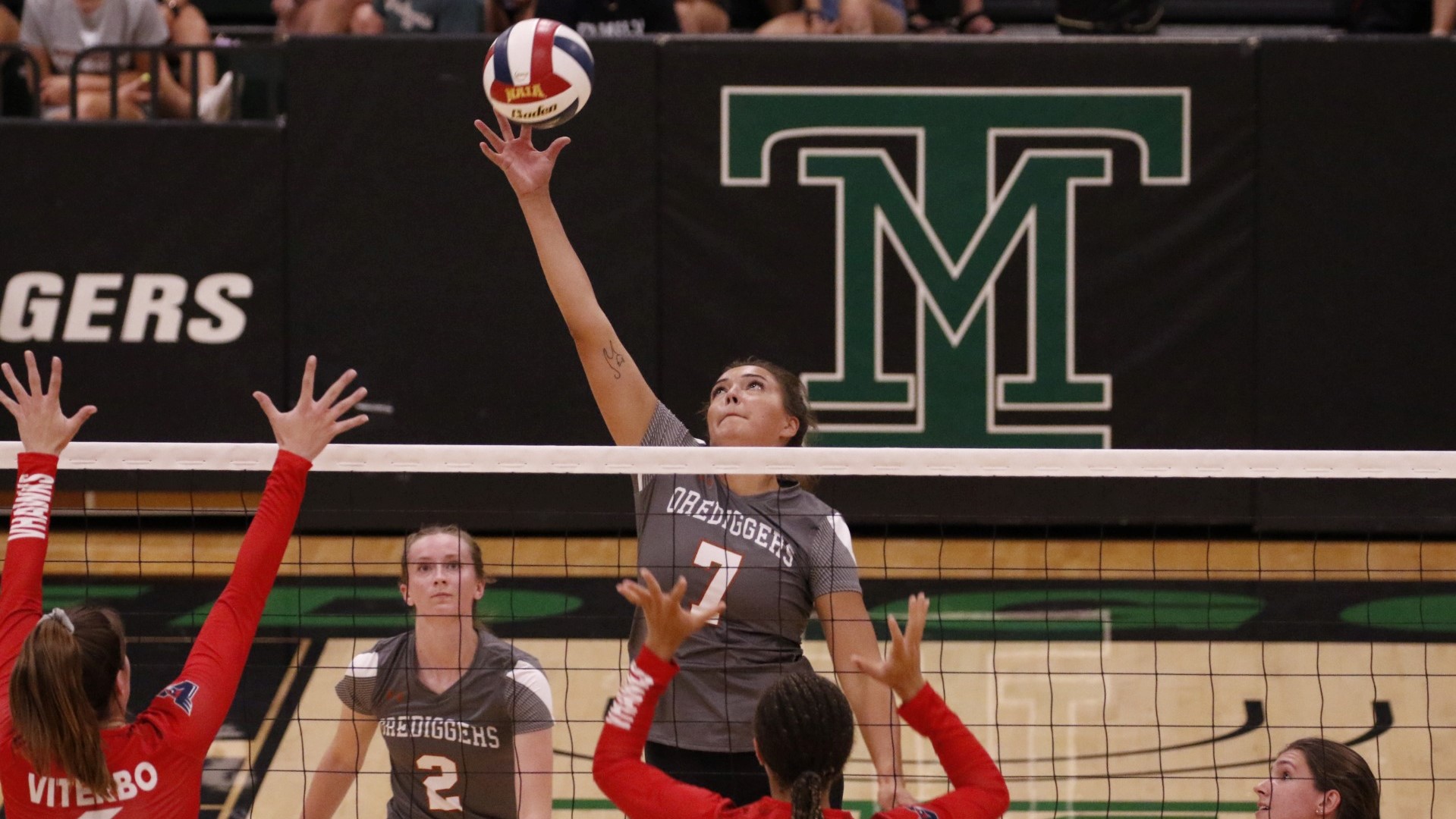 Taylor Henley - Women's Volleyball - Montana Tech Athletics