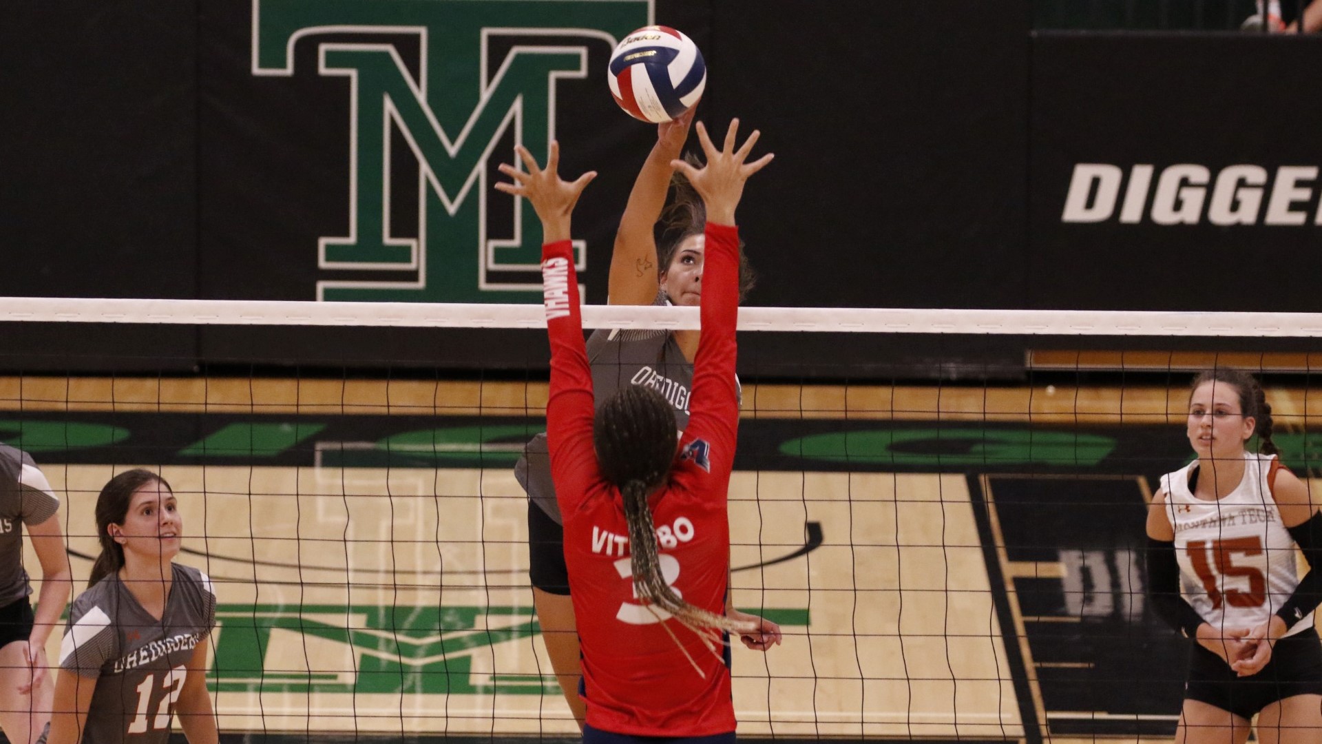 Taylor Henley - Women's Volleyball - Montana Tech Athletics