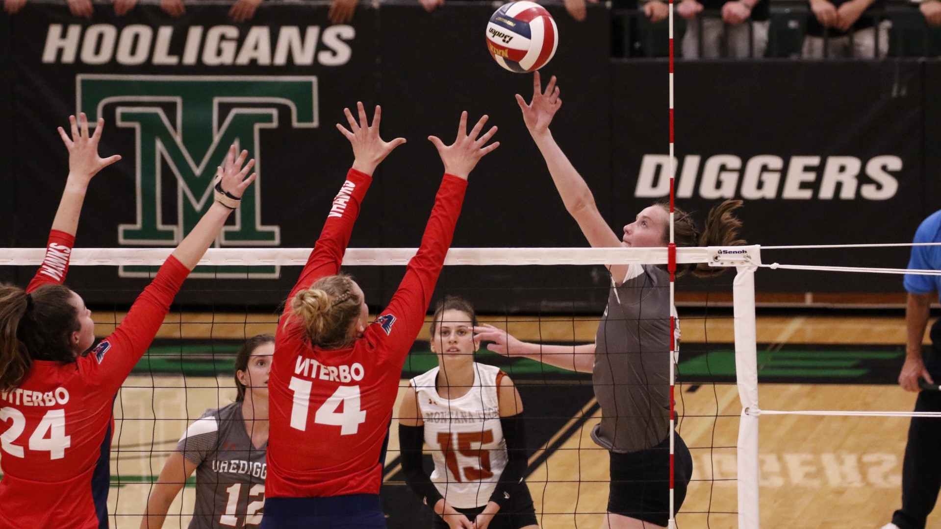 Maureen Jessop - Women's Volleyball - Montana Tech Athletics