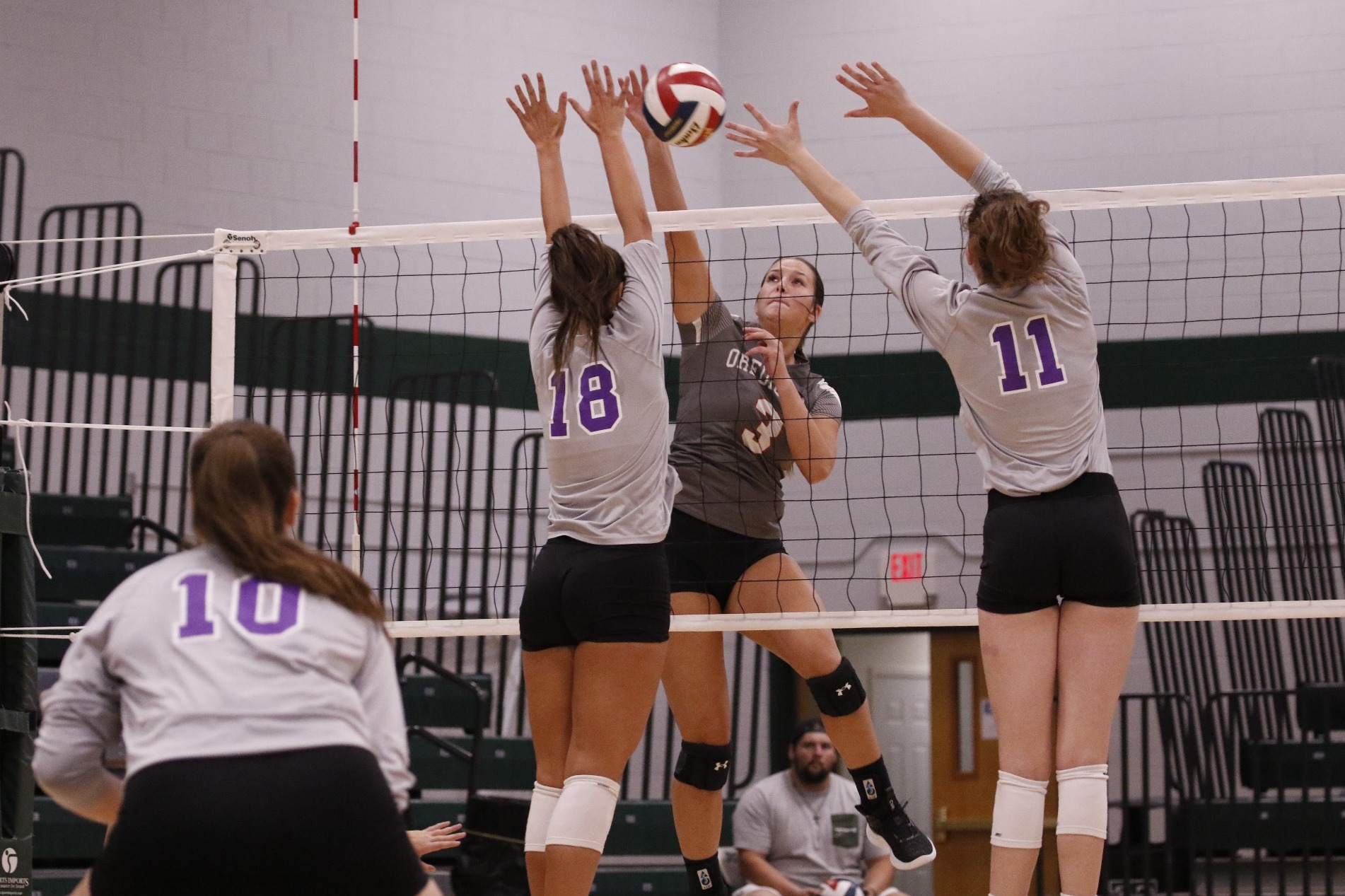 Oredigger Volleyball jumps to 4-1 in Frontier Conference Play - Montana ...