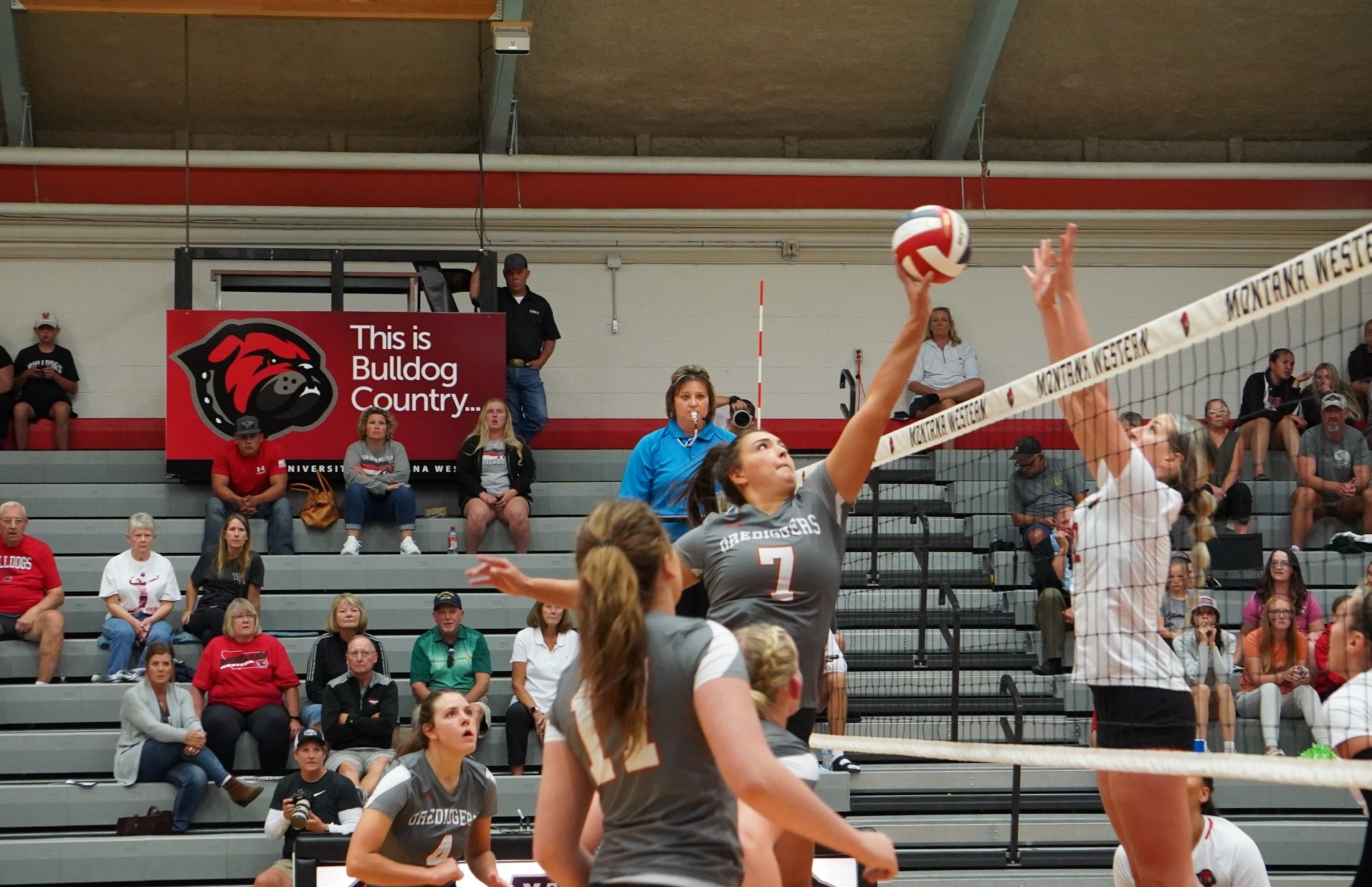 Taylor Henley - Women's Volleyball - Montana Tech Athletics