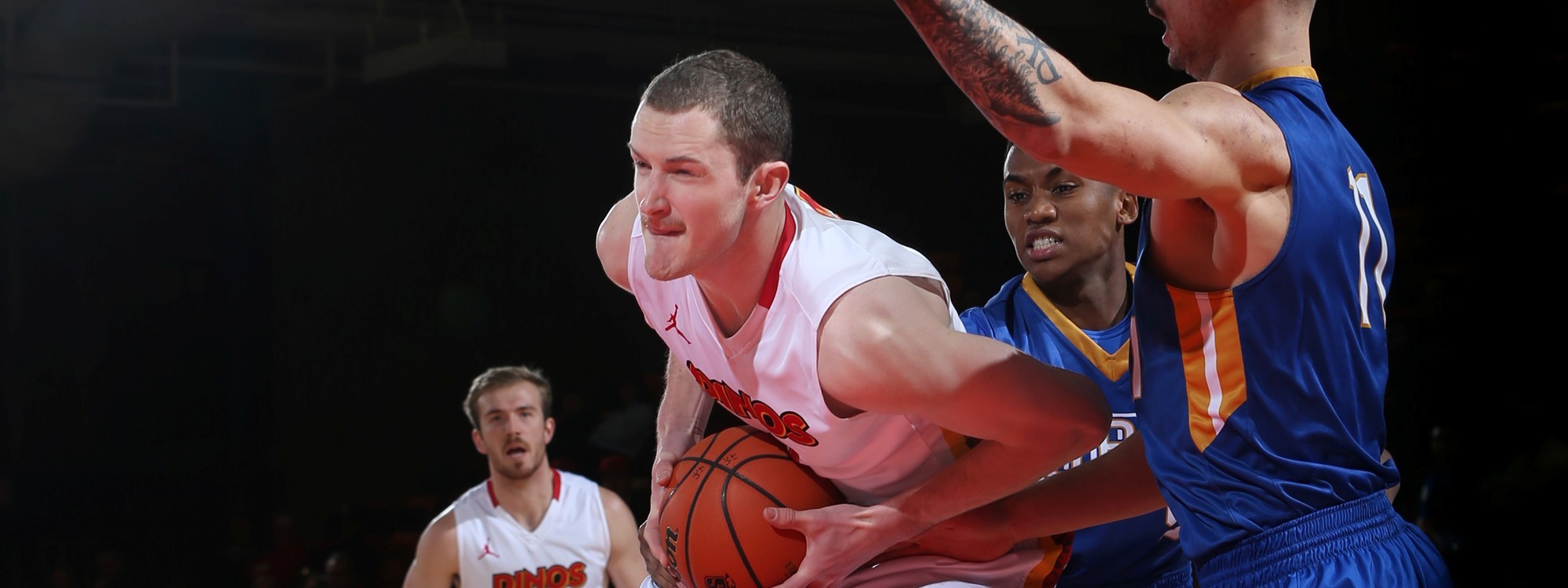 Dallas Karch - 2016-17 - Men's Basketball - University of Calgary Athletics